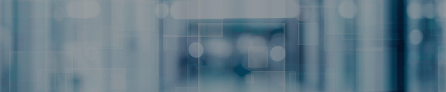 Asset Liability Management (ALM) Model Validation | Wilary Winn